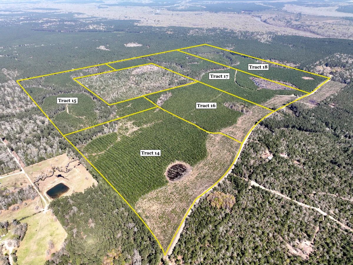 Land For Sale County Road 4415 Spurger TX 77660 40 Acres