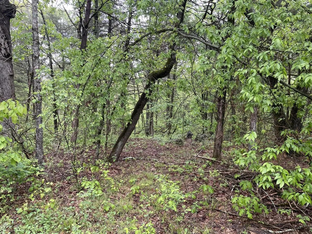 11+/- Acres, Ash Flat, Arkansas - Acreage In Arkansas, Sharp County For ...
