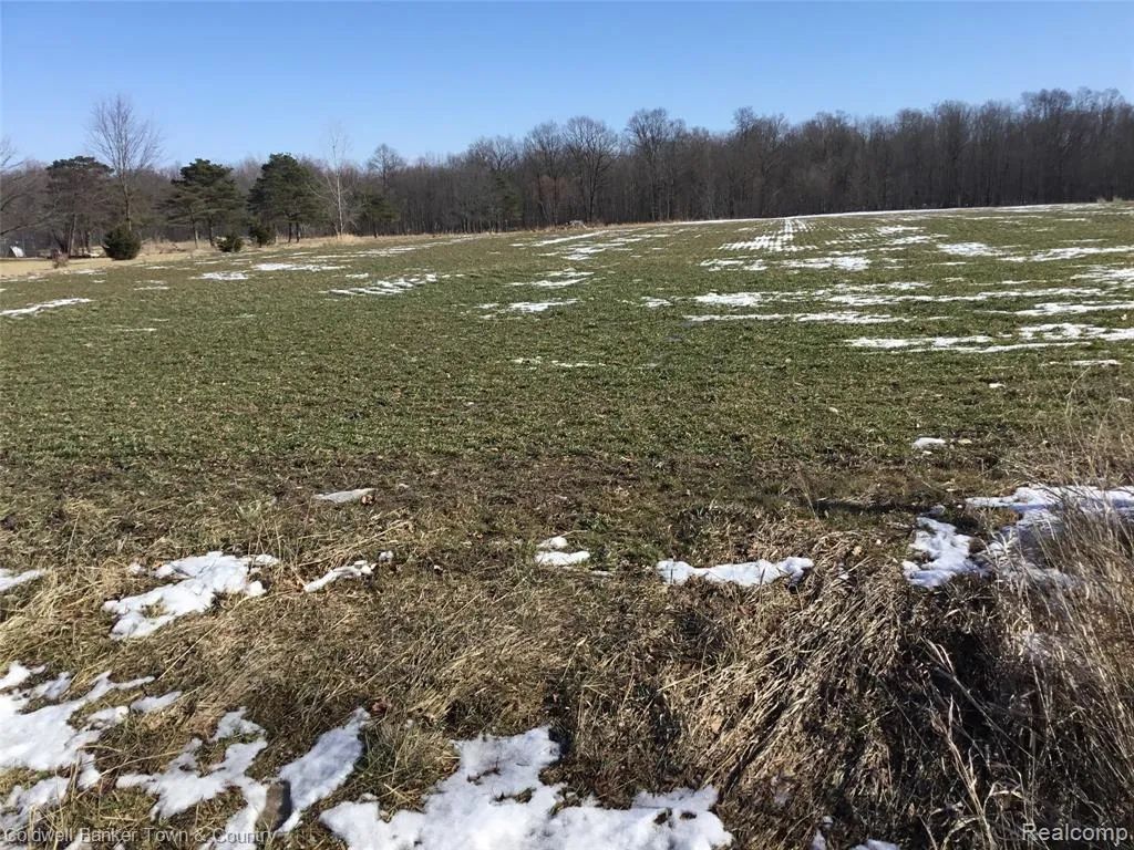 Fowlerville Road - Acreage In Michigan, Livingston County For Sale