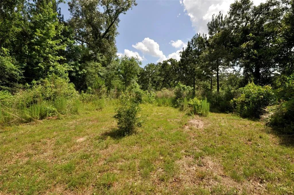 26150 Grand Pines Road - Acreage In Texas, Montgomery County For Sale