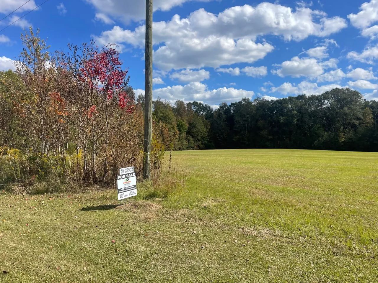 10 +/- acres Sumter County Cuba, AL - Acreage In Alabama, Sumter County ...