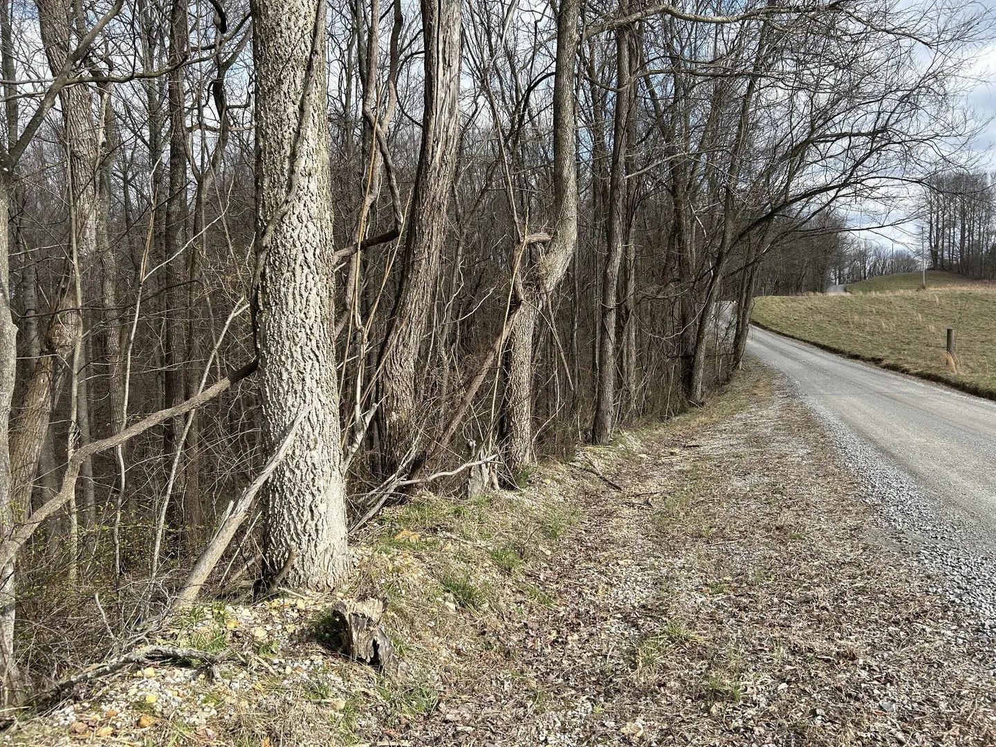 0 Ward Lane - Acreage In Tennessee, Macon County For Sale