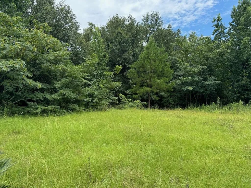 0 Hagan-still Road - Acreage In Georgia, Seminole County For Sale
