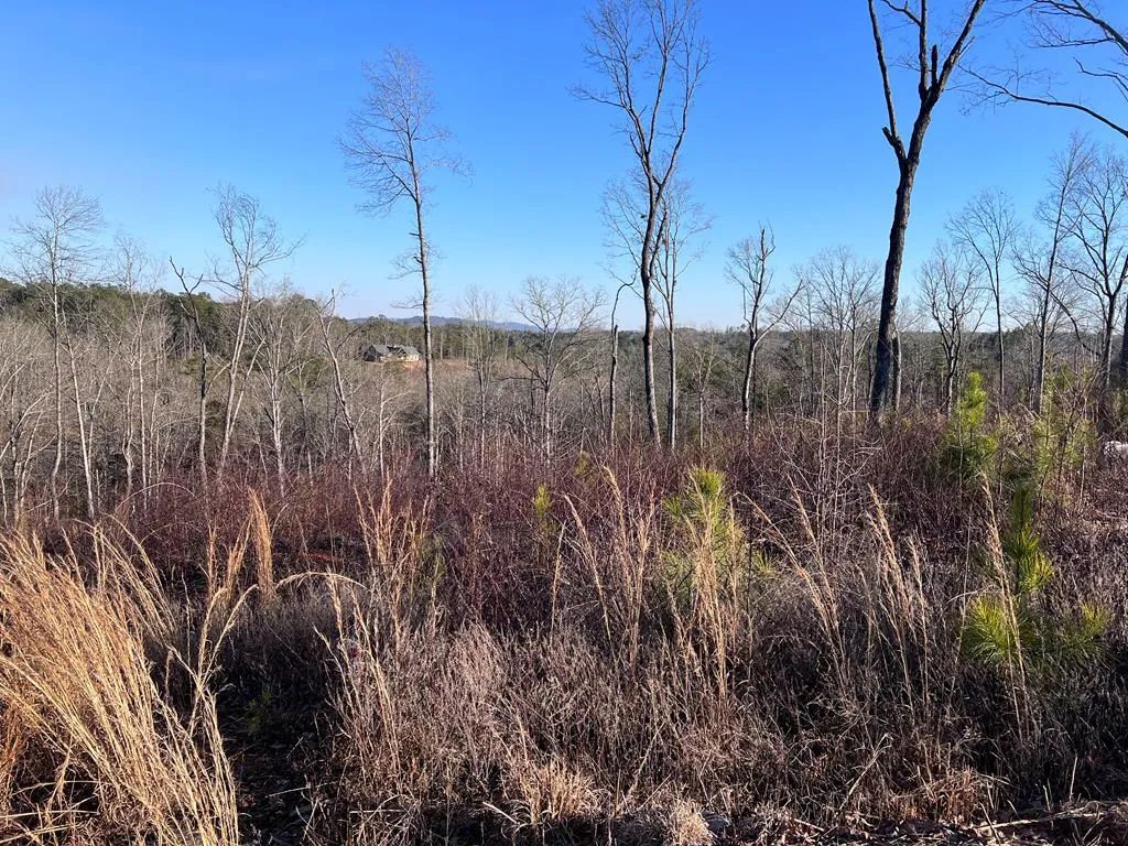 Lot 191 Canoe Point - Acreage In Georgia, Gilmer County For Sale