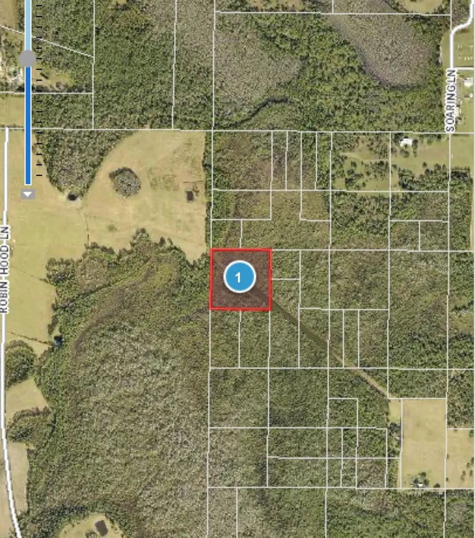 Robin Hood Lane - Acreage In Florida, Lake County For Sale