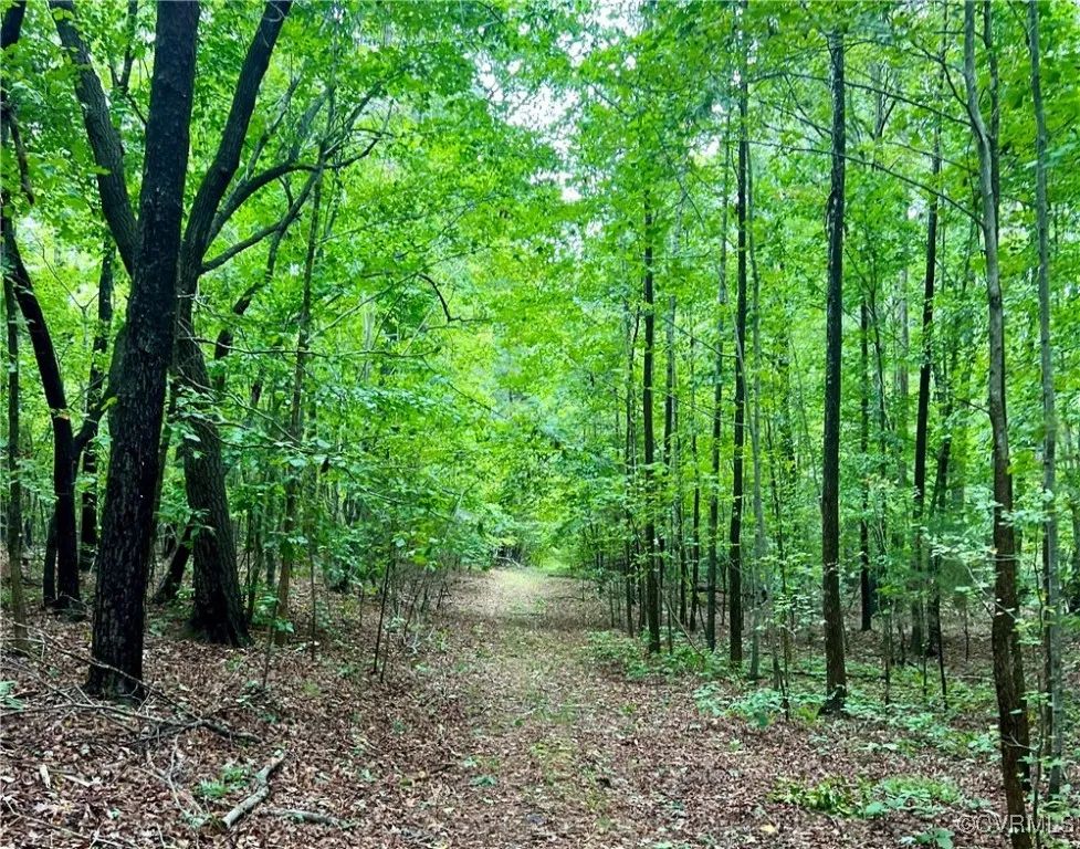 Lot 18 Owl Rd, Keysville, VA, 23947 - Acreage In Virginia, Charlotte ...