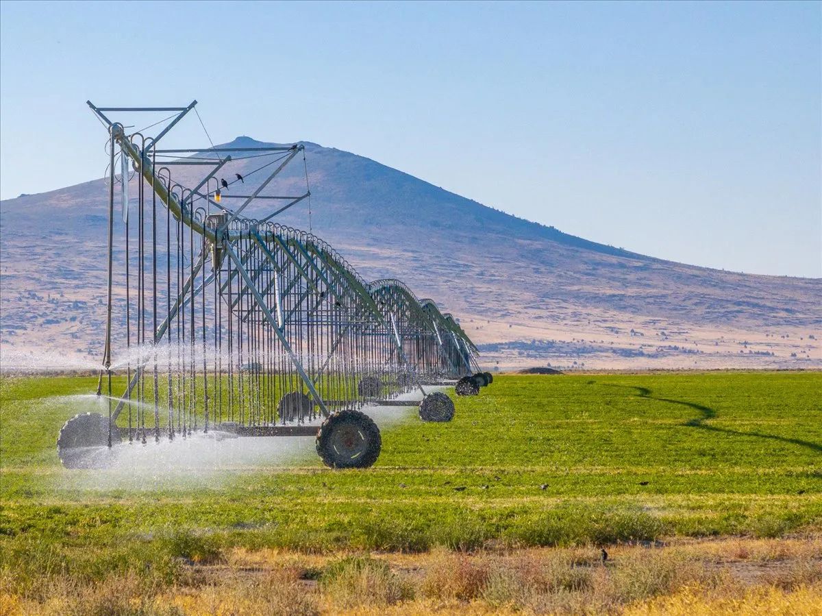 Dodge Ranch - Farm In California, Lassen County For Sale