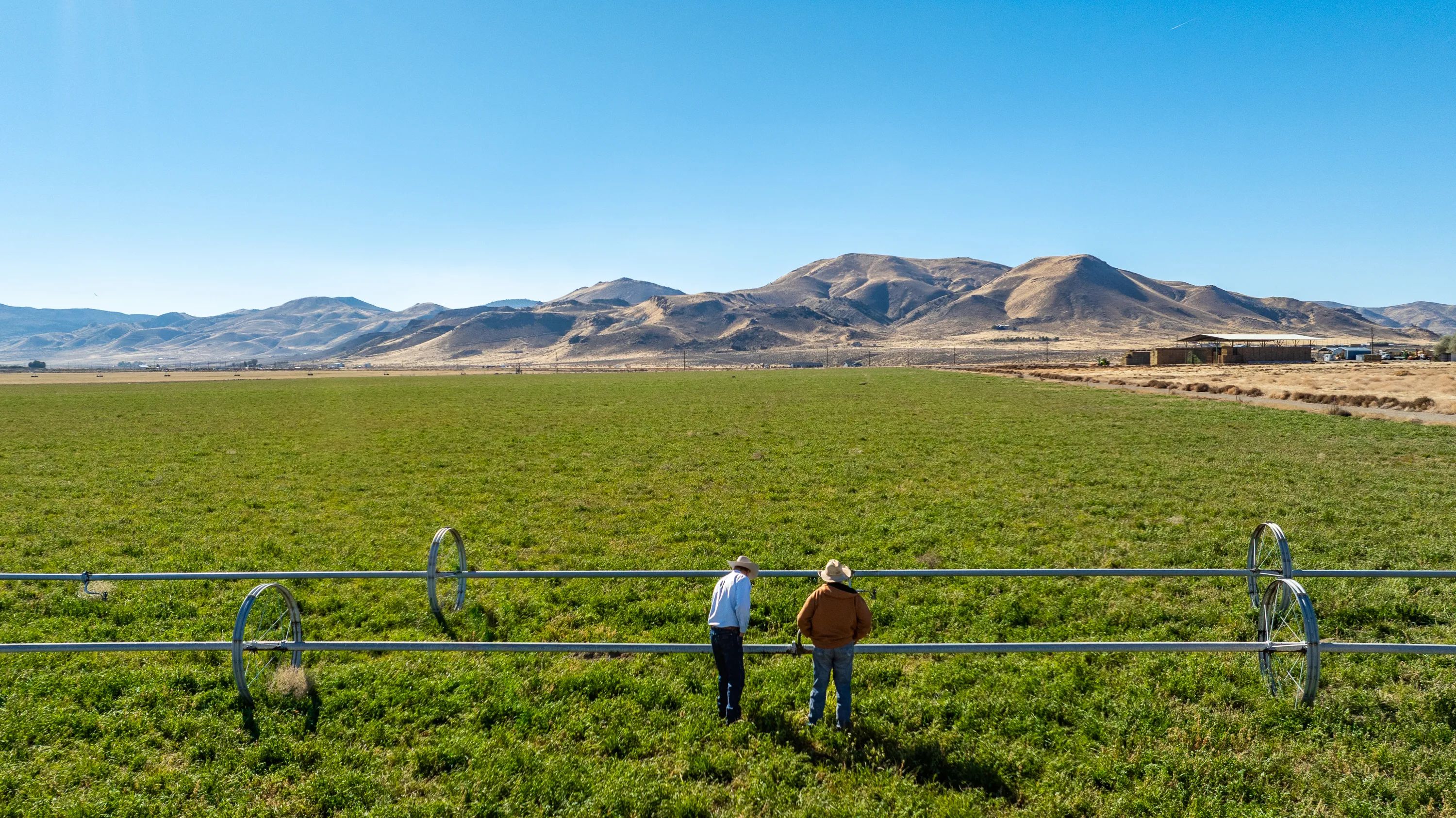 Palomino Farms - Farm In Nevada, Washoe County For Sale