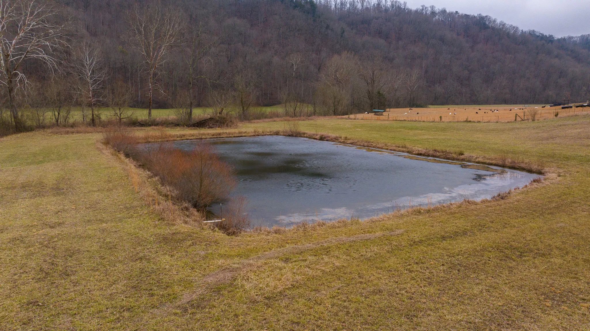 East Tennessee Farm for Sale – 74.83 Acres in Greene County - Farm In ...