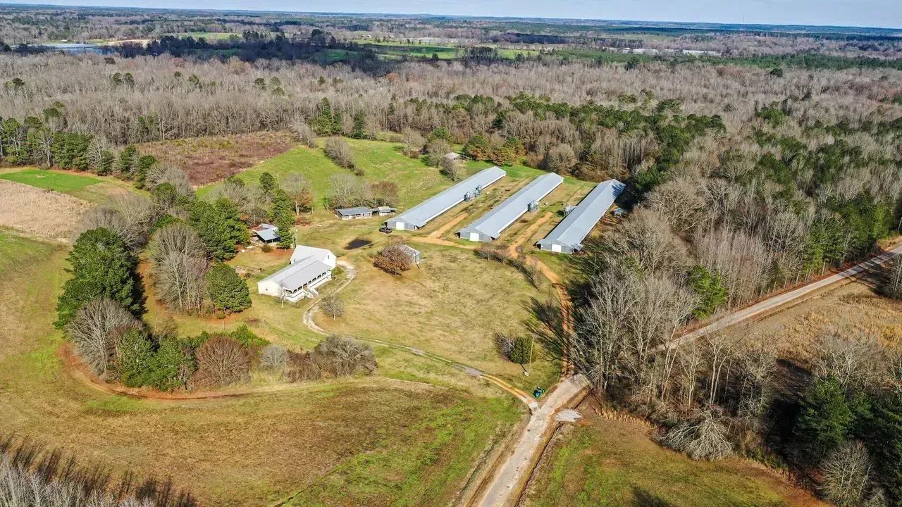 25 Acre Poultry Farm with Two Homes and Hunting Land - Farm In ...