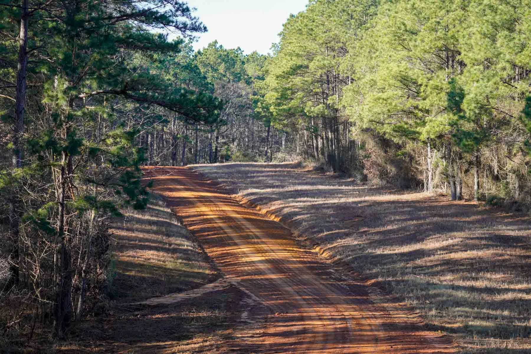 Bobcat Ridge Ranch - Farm In Texas, Anderson County For Sale