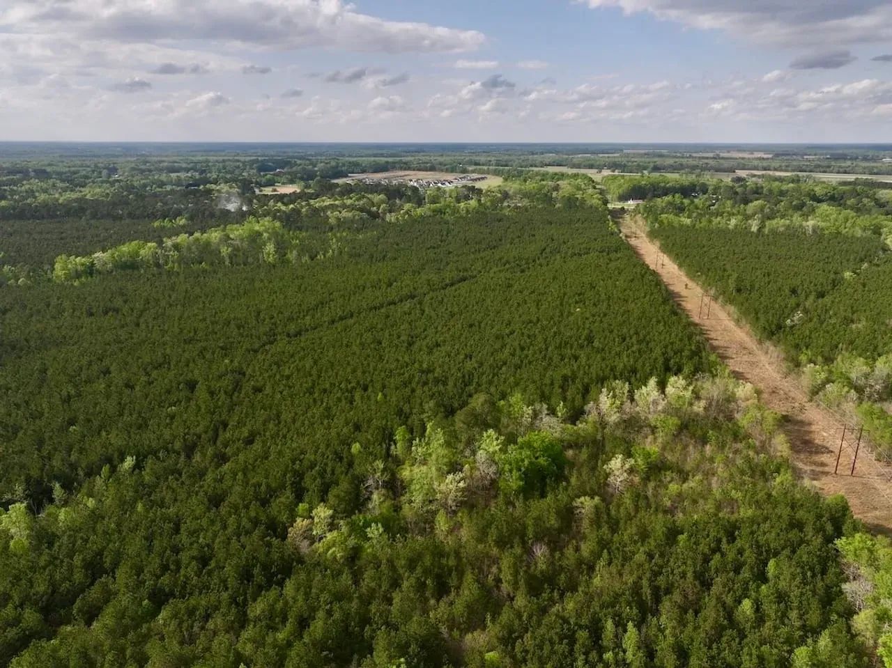 UNDER CONTRACT!! 131 acres of Timberland for Sale In Pitt County NC ...