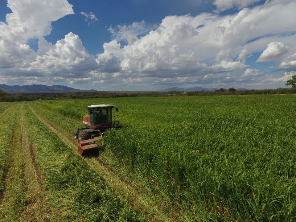 Arizona Farm Lot and Land For Sale - Farm In Arizona, Cochise County ...