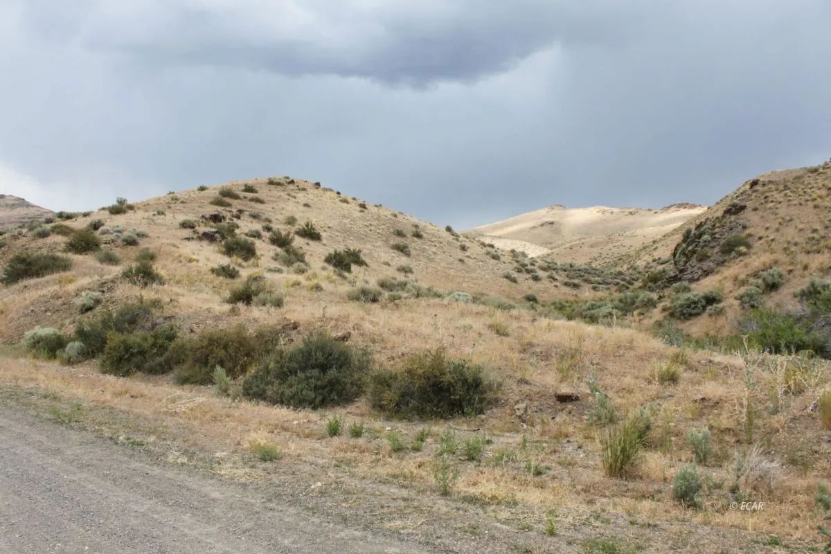 12.8 acres with Natural Spring, Views, Owner Financing (possible ...