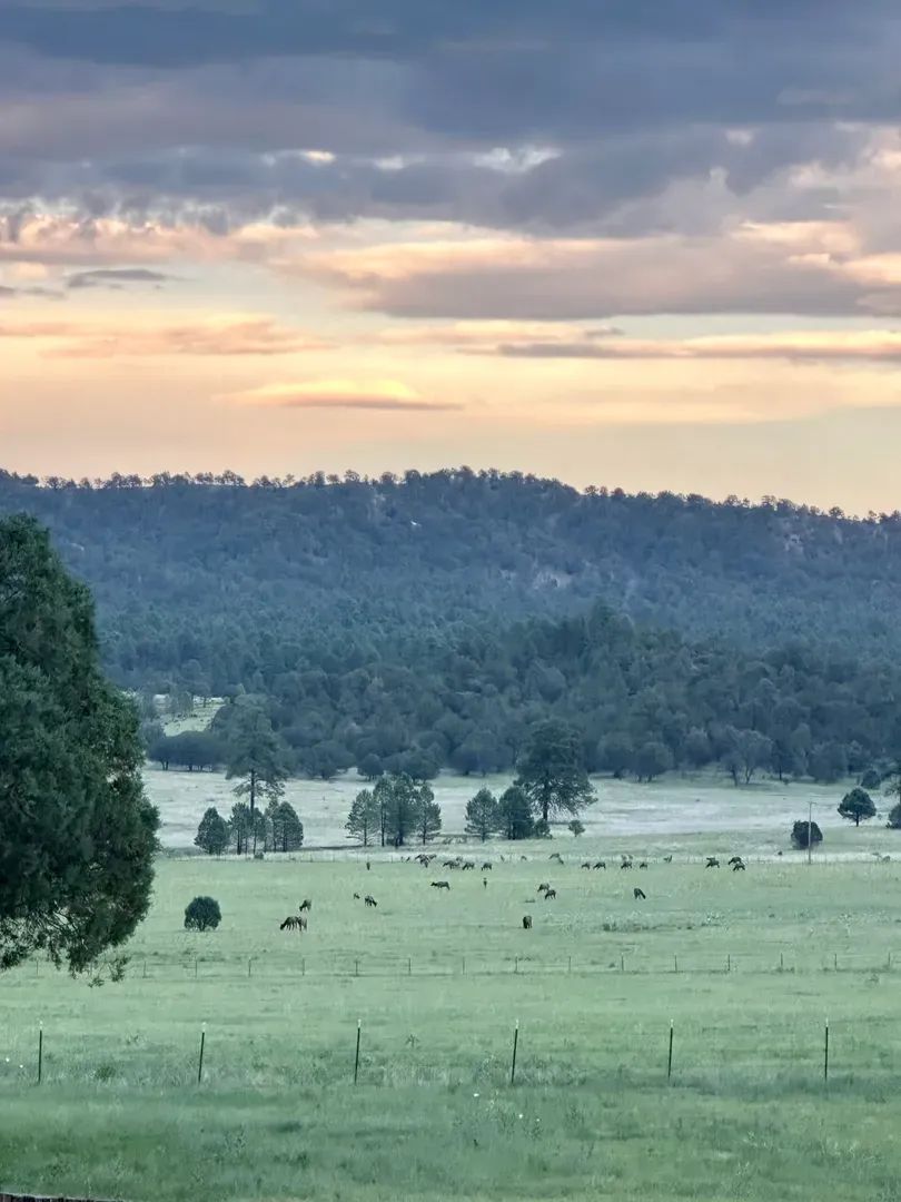 Sky Fire Ranch - Farm In New Mexico, Grant County For Sale