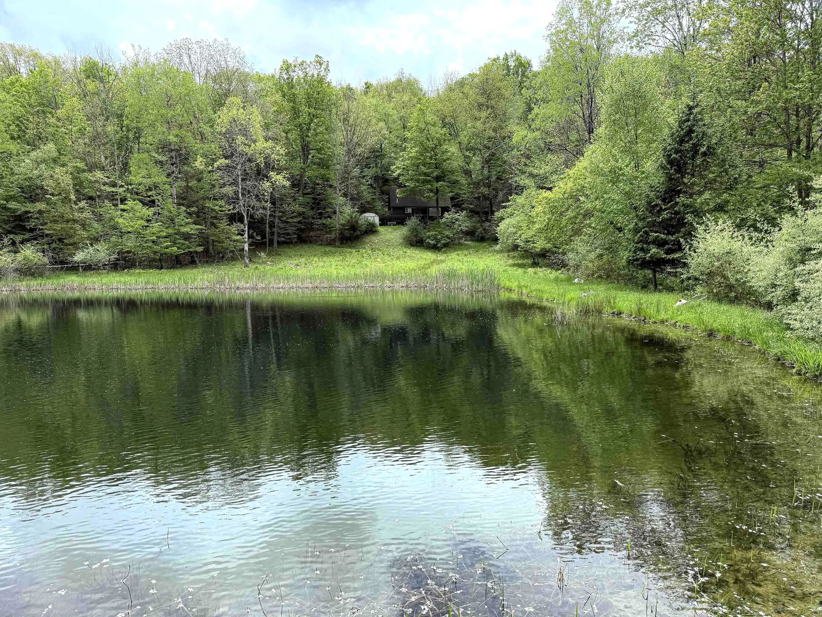 45 acres Cabin with Pond and Timberland in Cameron NY 3304 County Rd 22 ...