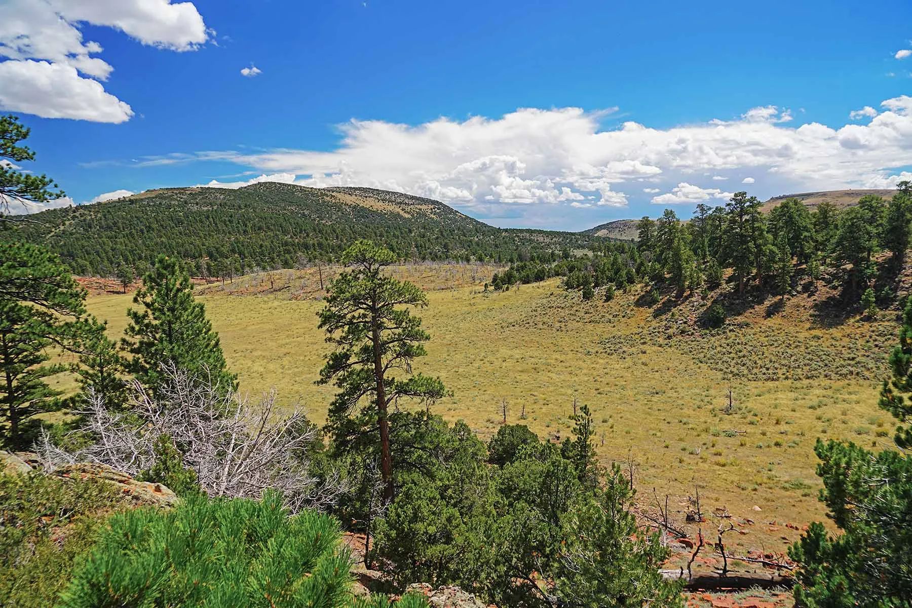 Snake River Land & Cattle Ranch - Farm In Colorado, Moffat County For Sale