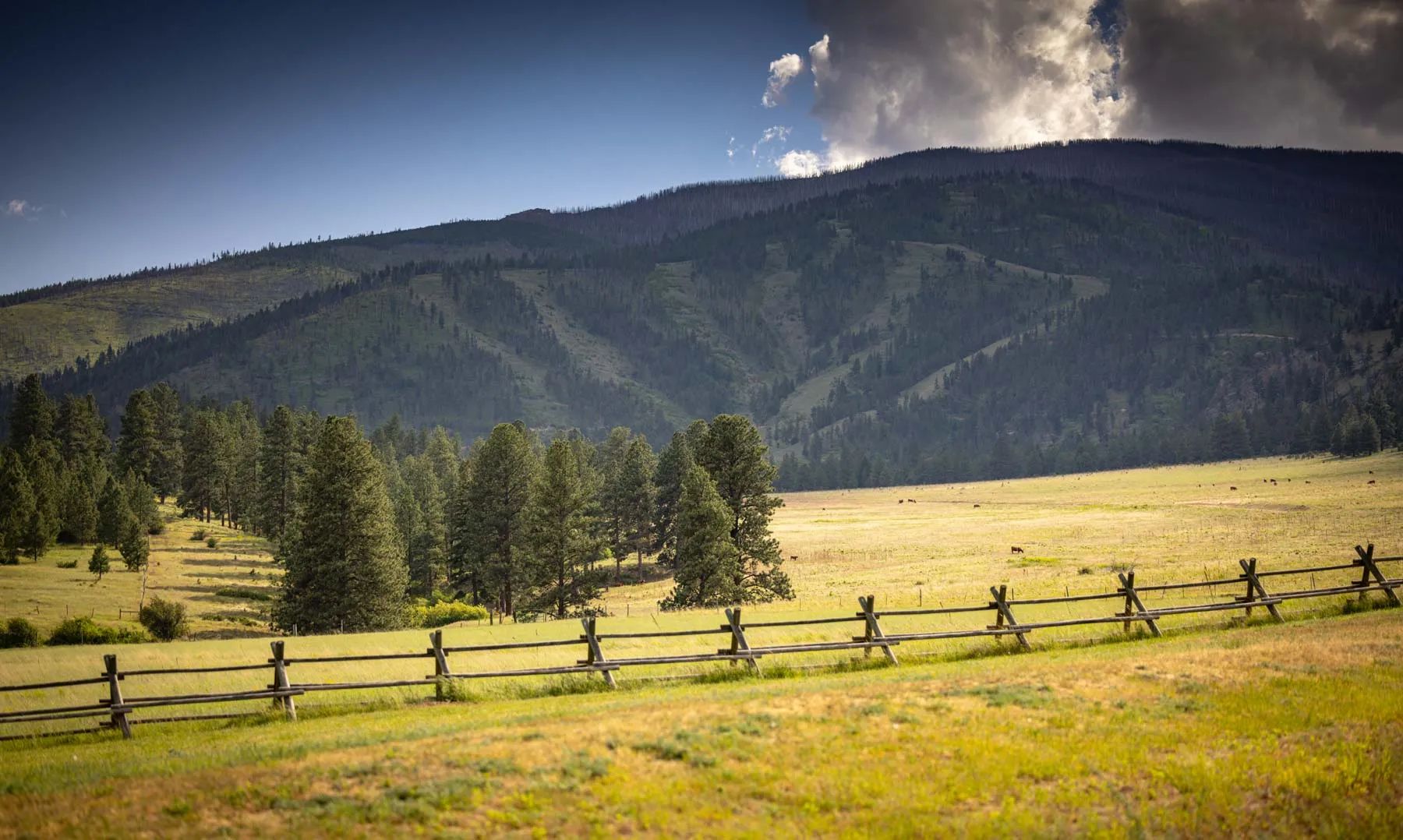 Lolo Ranch - Farm In Montana, Missoula County For Sale