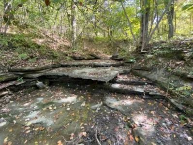 Small Tracts and Big Racks - Acreage In New York, Allegany County For Sale